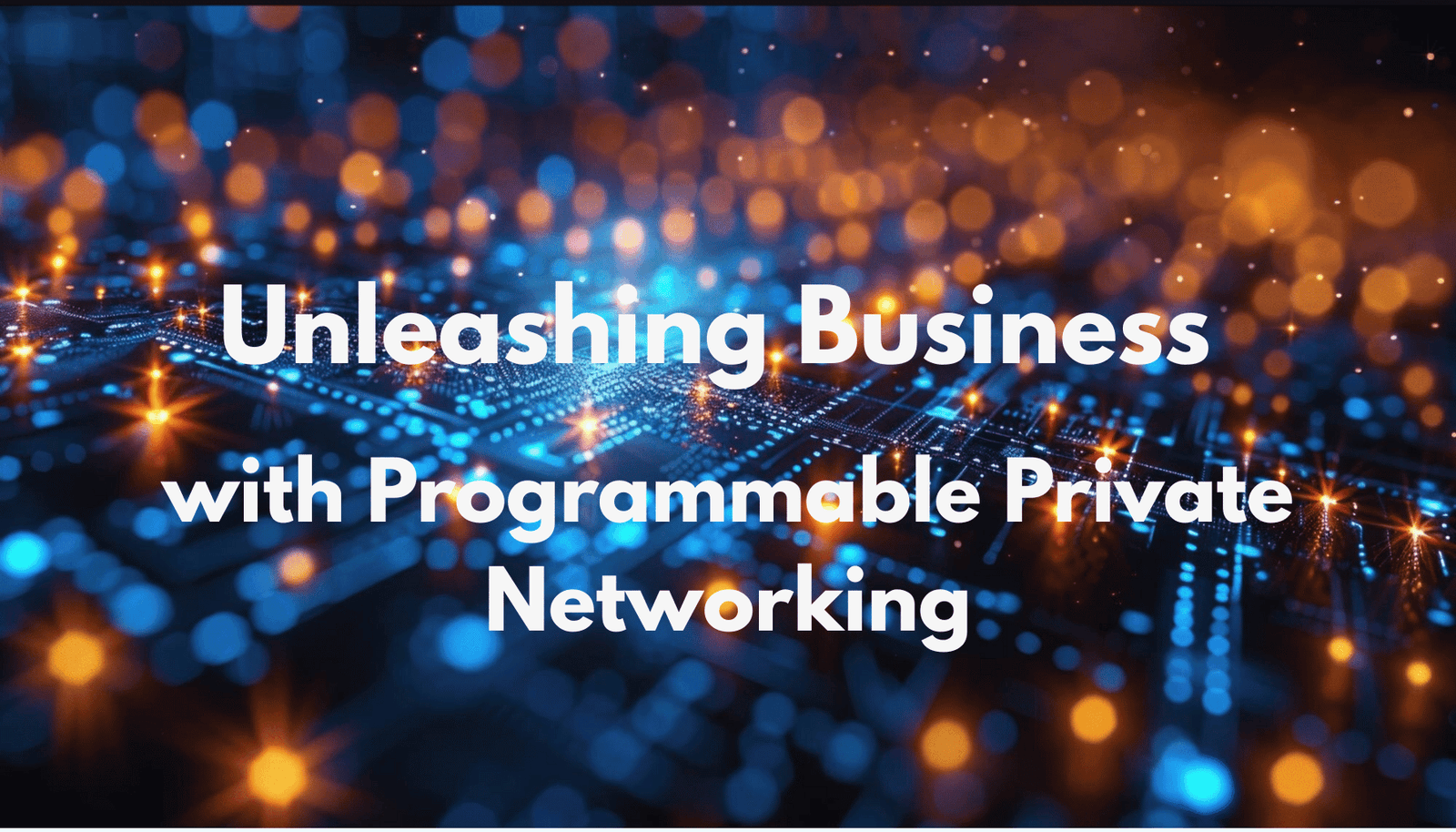 Programmable Private Networking